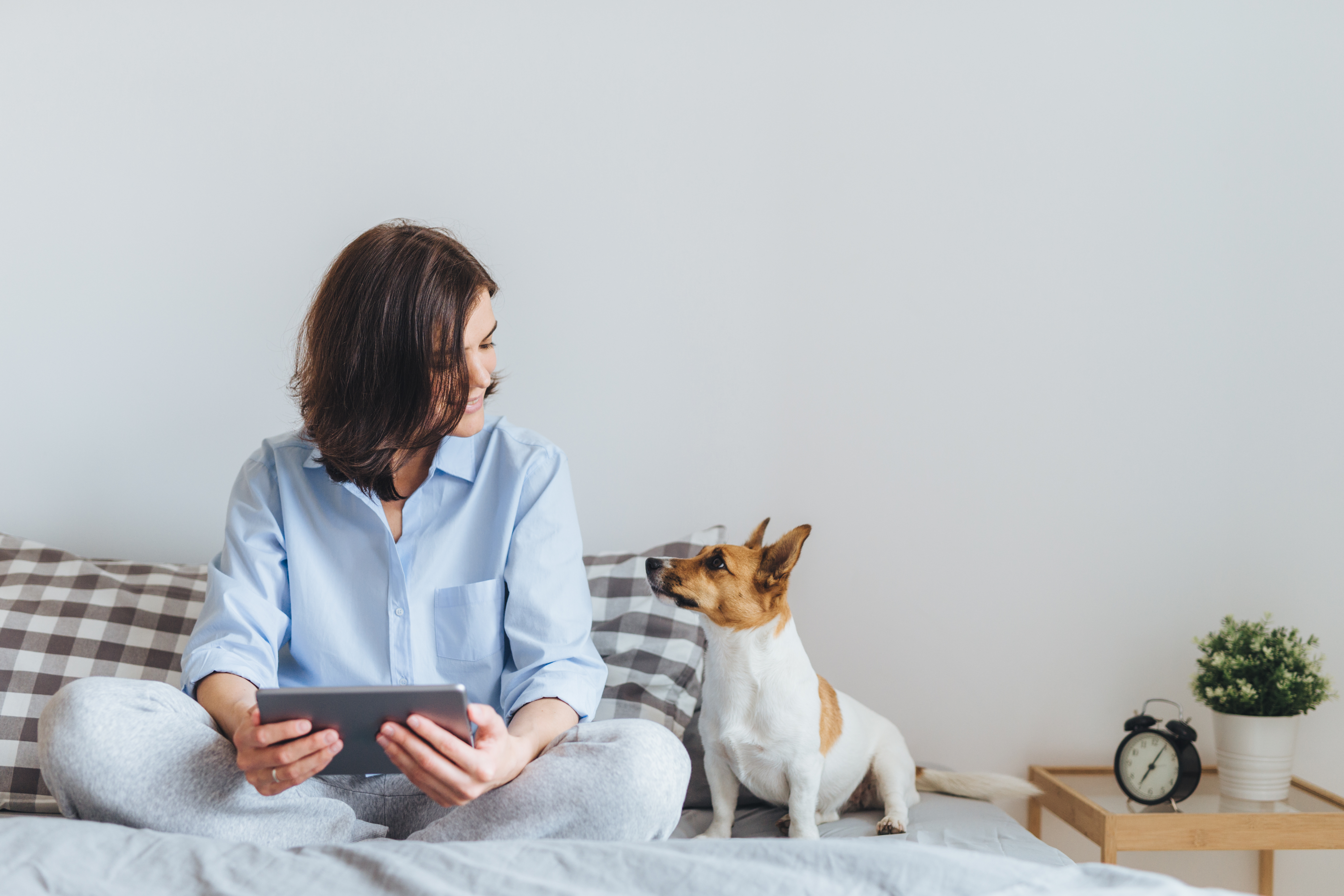 8 Reasons Pets Make Life Better